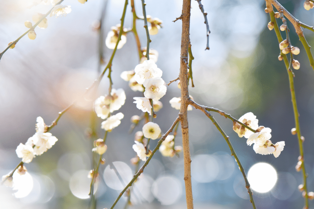 February Writing Prompts: A Month of Creative Ideas to Help You Write ...