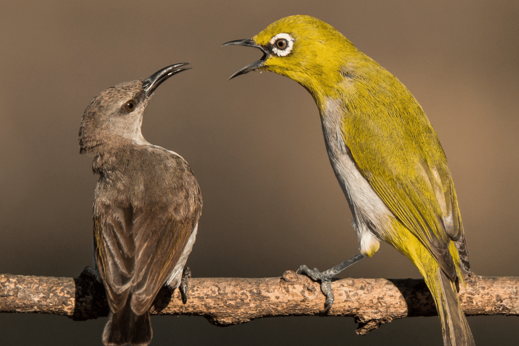 93 Argumentative Essay Prompts - Brilliantio