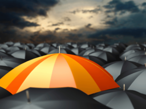 Informational Writing Prompts: 50 Ideas to Get You Started - Brilliantio